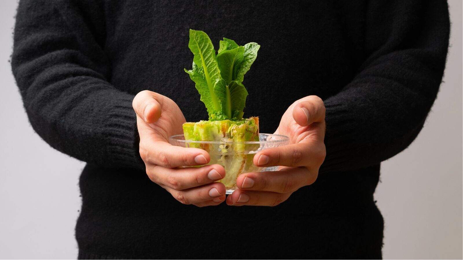 15 root vegetables you can still grow or store through winter ...